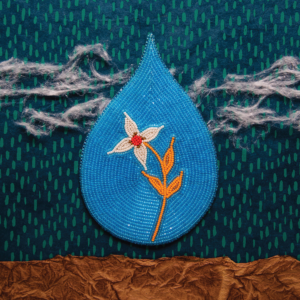 Q&A with Shawna Davis – IBBY Canada